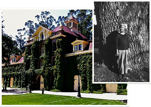 Since 1879 - Lail Vineyards